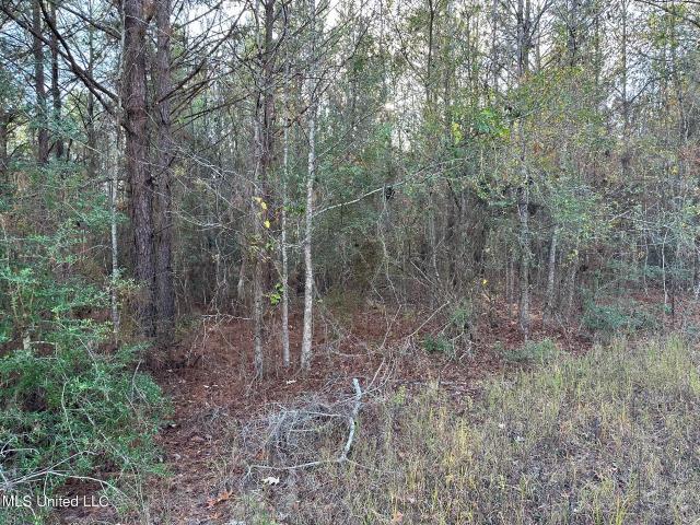 1048 Williamson Rd, Wesson, MS 39191 | MLS #4127 | Compass