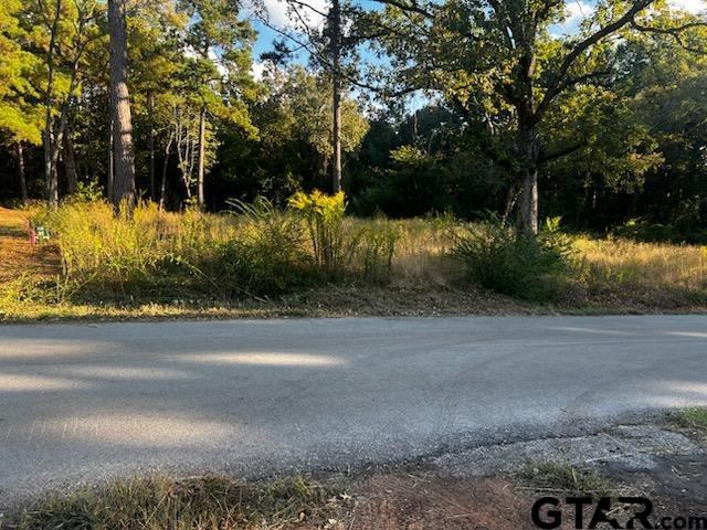 10499 County Road 1111, Tyler, TX 75704 | MLS #25015