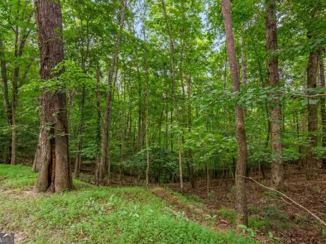 1049 Gateway Dr, Ellijay, GA 30540 MLS 10357829