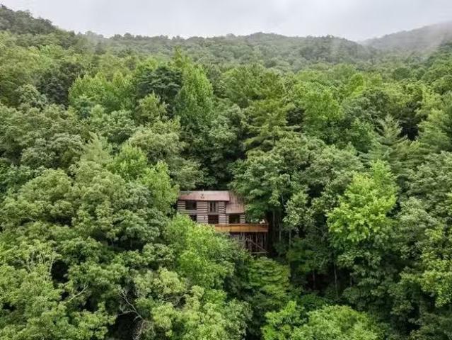 1049 Rockwater Road, Ellijay, GA 30536 MLS 7434092