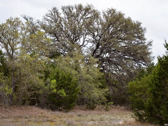 1040 Monteola, Bulverde, TX 78163 | MLS #1955 | Compass