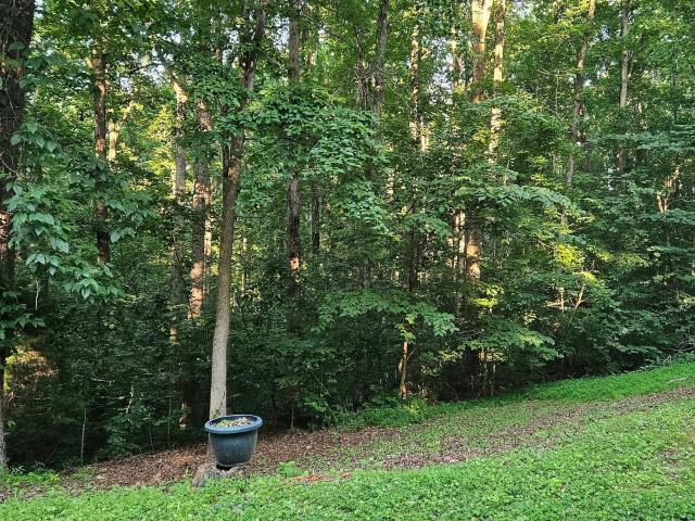 1040 Overlook Trl