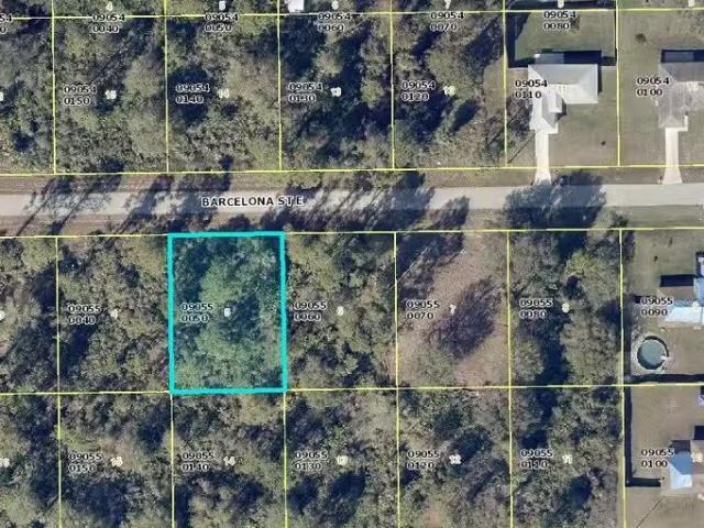 1040 Barcelona St E, Lehigh Acres, FL 33974 MLS 223028171