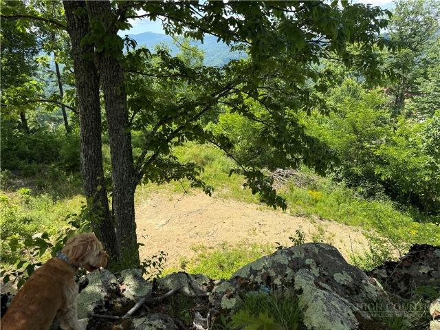 1040 Eagles Nest Trail