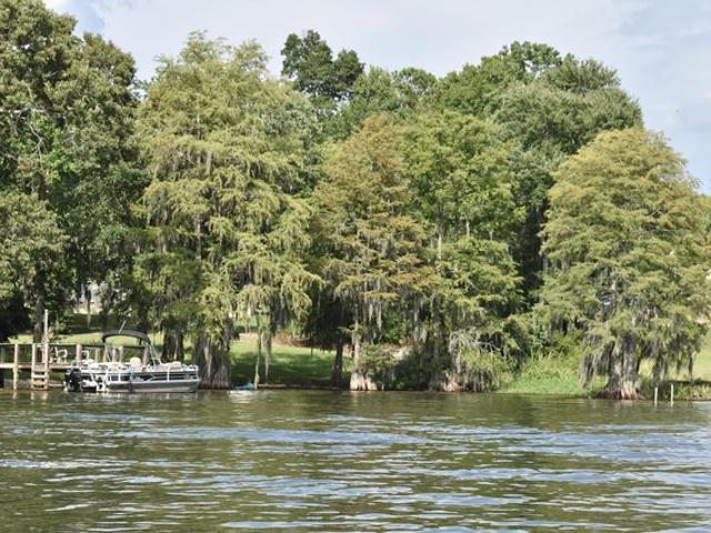 1040 Lesesne Dr Units 11 & 11A, Manning, SC 29102