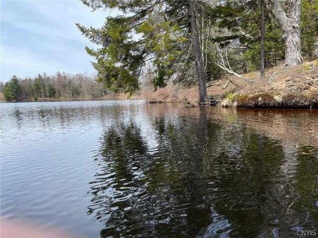 10416 Soft Maple Reservoir