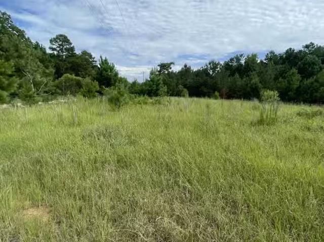 1041 Clint Williams Rd, Lincolnton, GA 30817 MLS 506135