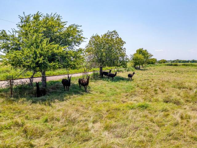1041 County Road 310A, Cleburne, TX 76031 | MLS #21224 | Compass