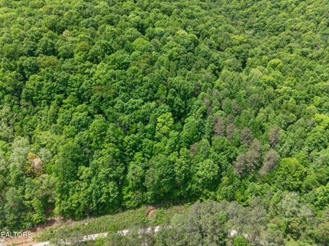 1041 E Obey Ln, Wilder, TN 38589