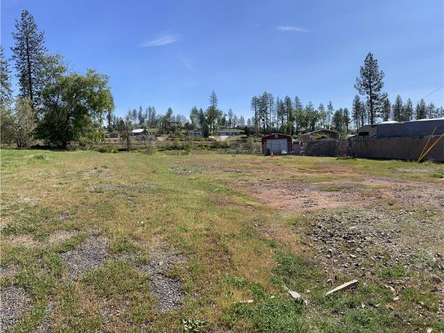 1041 Green Tree Court