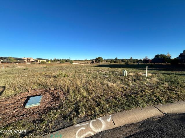 1041 Lorenzo Sitgreaves Drive