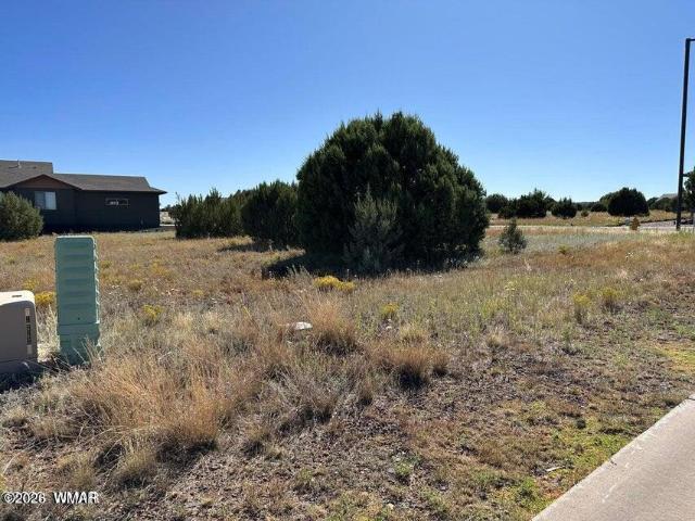 1041 Ridgeline Drive