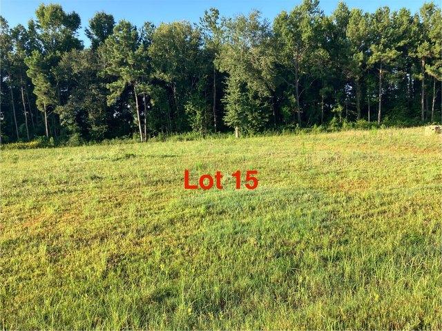 1041 Tarkington Timbers Dr, Cleveland, TX 77327