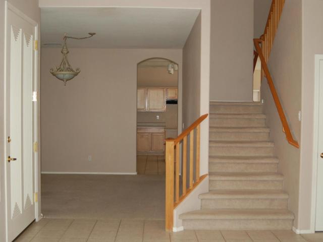 1041 W Longhorn Drive