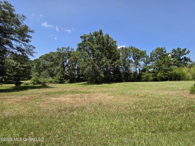 1041 3rd St, Wesson, MS 39191