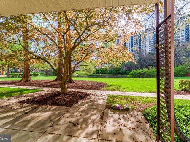 10420 Rockville Pike # 102