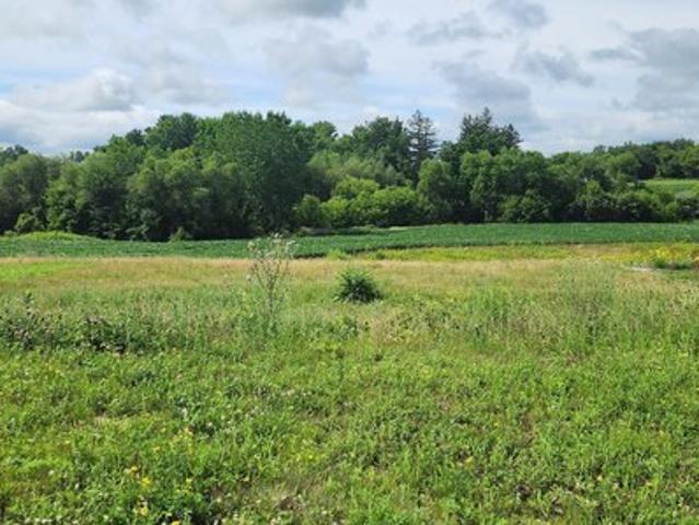 1042 3rd St, Wanamingo, MN 55983