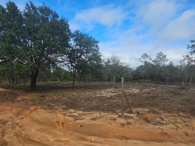 10433 Western Rd, Fountain, FL 32438 | MLS #782213