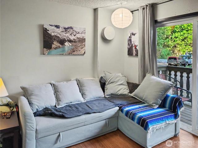 10433 Mt. Baker Highway # 1017A