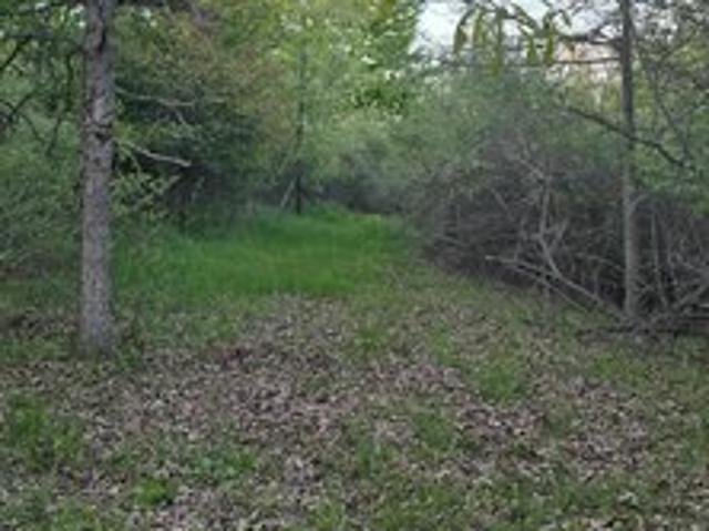 10434 Stevens Rd, Brant, MI 48614
