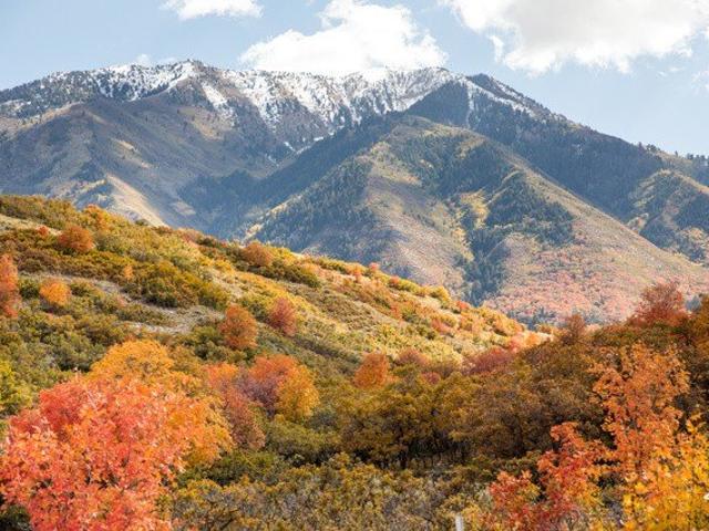 1043 S Summit Dr Unit 142, Woodland Hills, UT 84653