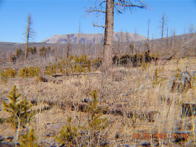 1043 Saul Pl, Fort Garland, CO 81133 | MLS #5085