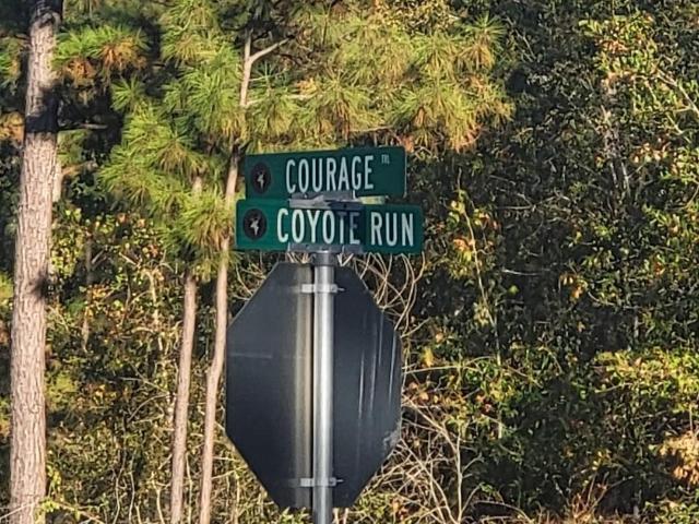 104 Coyote Run