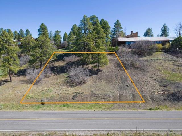 104 Carlee Pl, Pagosa Springs, CO 81147