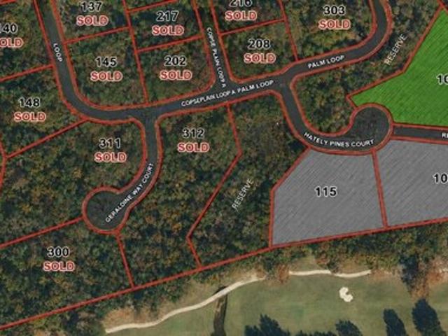 104 Chateau Pines Ct, Montgomery, TX 77316
