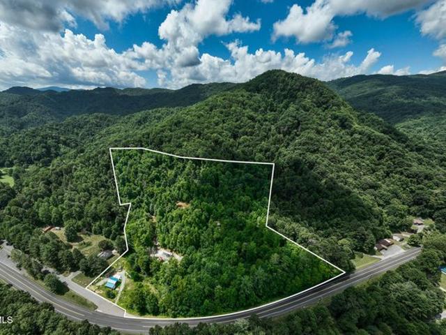 104 Crabtree Rd, Roan Mountain, TN 37687