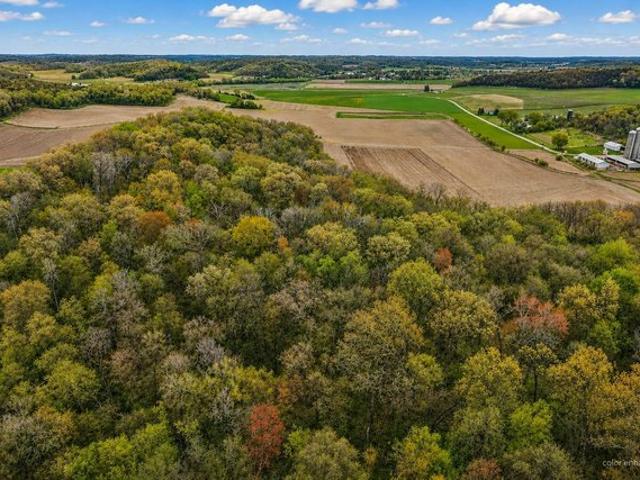104 Acres Fesenfeld Rd, Black Earth, WI 53515