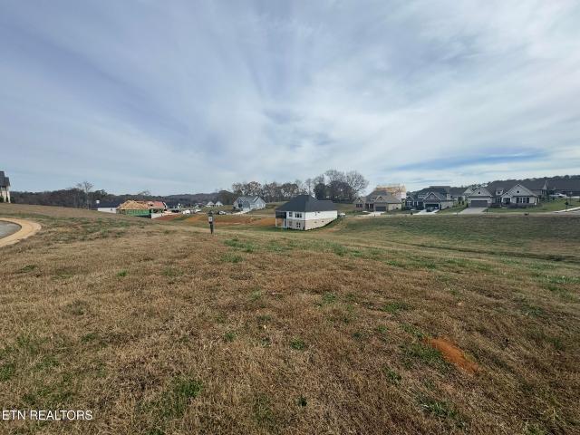 104 Azalea Lane