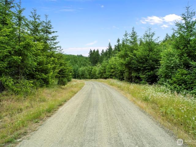 104 Bootjack Lane