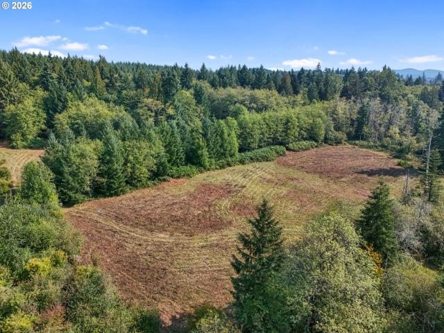 104 Bills Ln, Onalaska, WA 98570 | MLS #416564