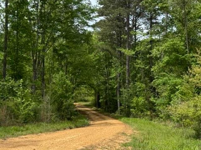 104 Homochitto National Forest Road