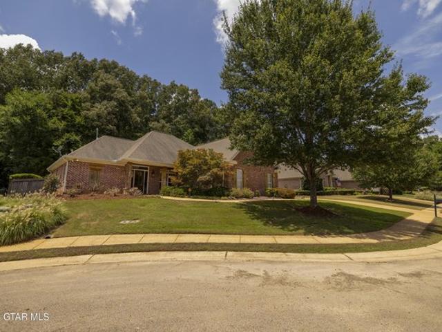 104 Laurel West Cv, Starkville, MS 39759