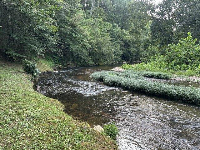 104 Limo View Ln, Hohenwald, TN 38462