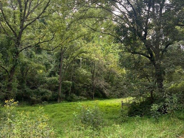 104 Mount Fern Ln, Pearisburg, VA 24134