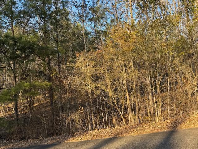 104 N Little River Run