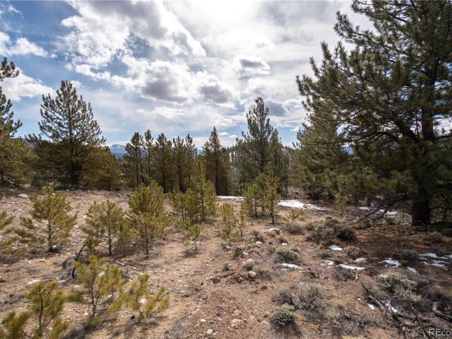 104 Northview, Twin Lakes, CO 81251 | MLS #6680