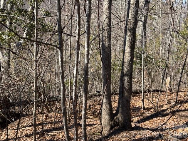 104 Smoke House Way, Burnsville, NC 28714 | MLS #4349 | Compass