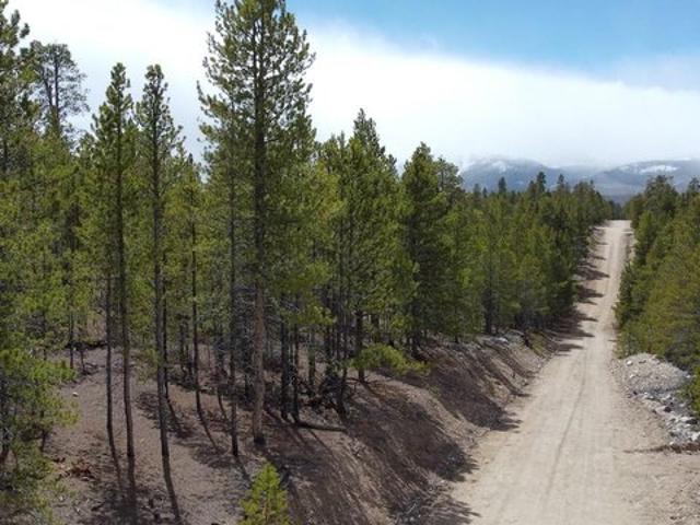104 Spruce Dr, Twin Lakes, CO 81251