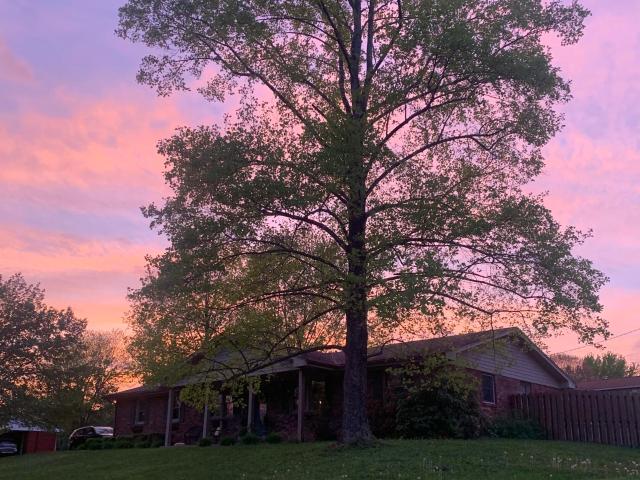 104 Summit Drive