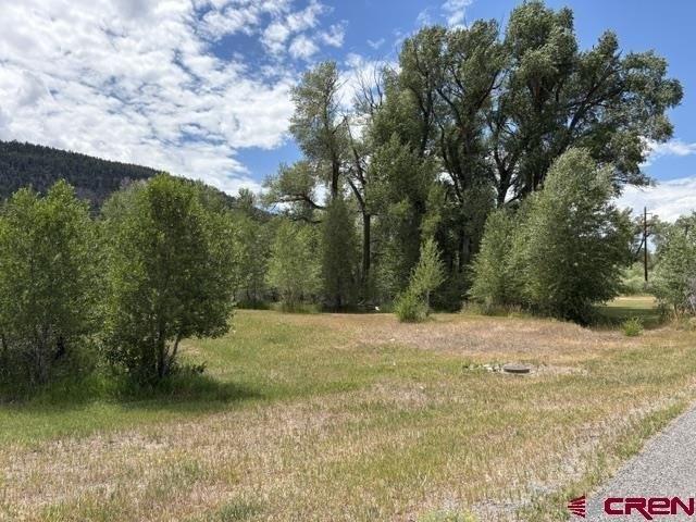 104 W Riverside Ct, South Fork, CO 81154