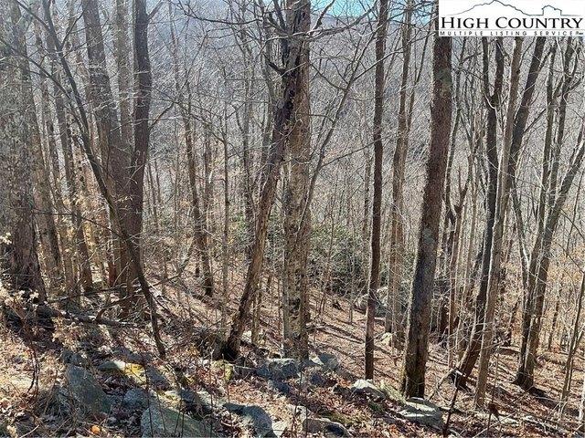 104 Wintercrest Ln, Beech Mountain, NC 28604