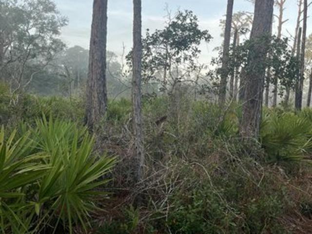 104 Temple Ave, Crescent City, FL 32112