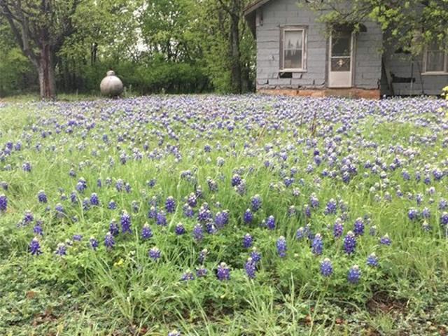 1054 County Road 3415, Clifton, TX 76634