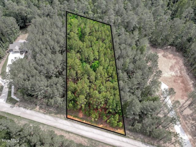 1054 Longleaf Way