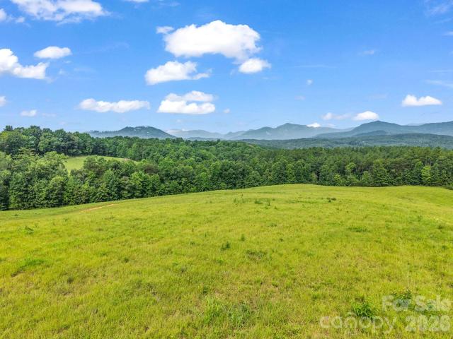 1054 Rainbow Rapids Road