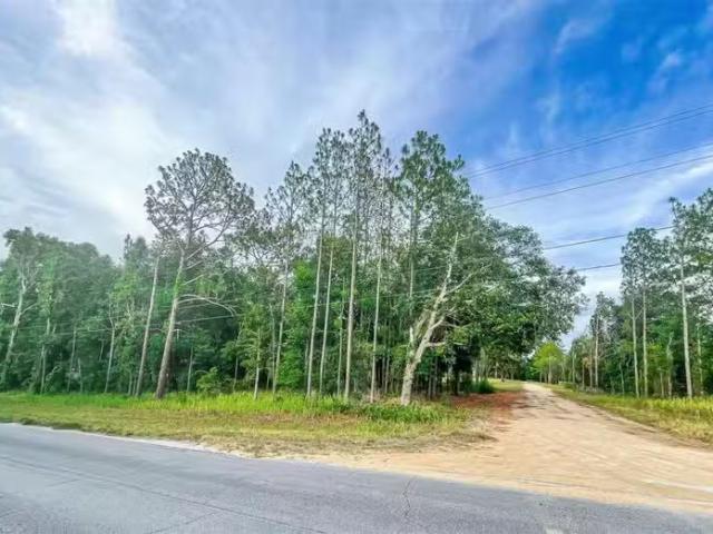 10551 NE 117TH LN, ARCHER, FL 32618 Vacant Land For Sale MLS#.